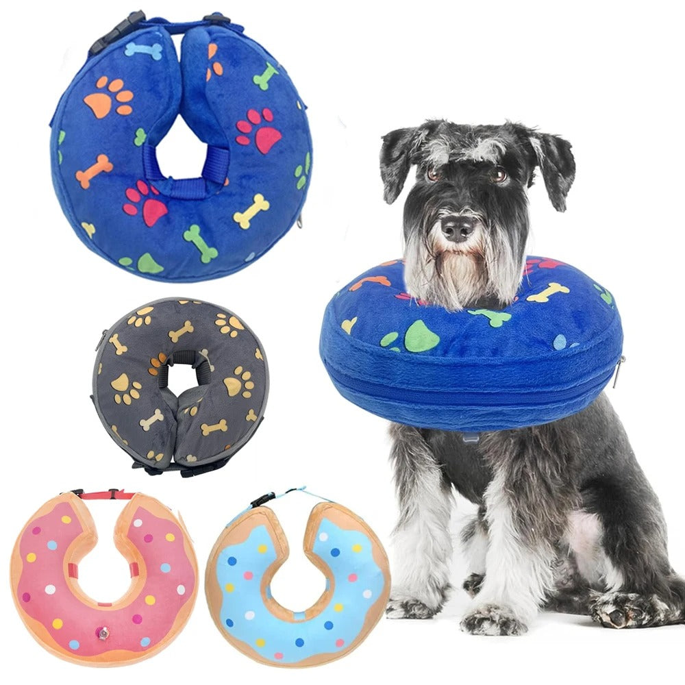 Collerette pour Chien - Protection Post-Opératoire et Anti-Léchage ...