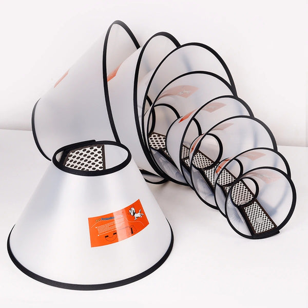 Collerette Vétérinaire Plastique pour Chien - Gros-Chien.com