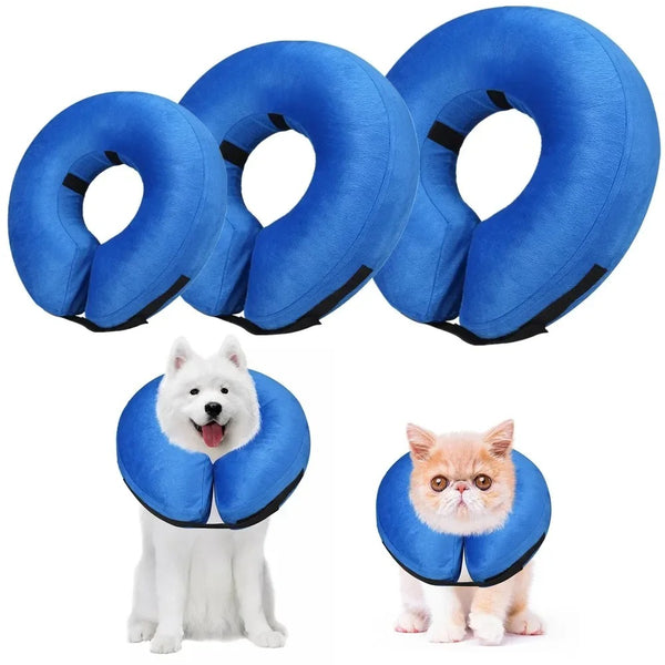 Collerette pour Chien - Protection Post-Opératoire et Anti-Léchage ...