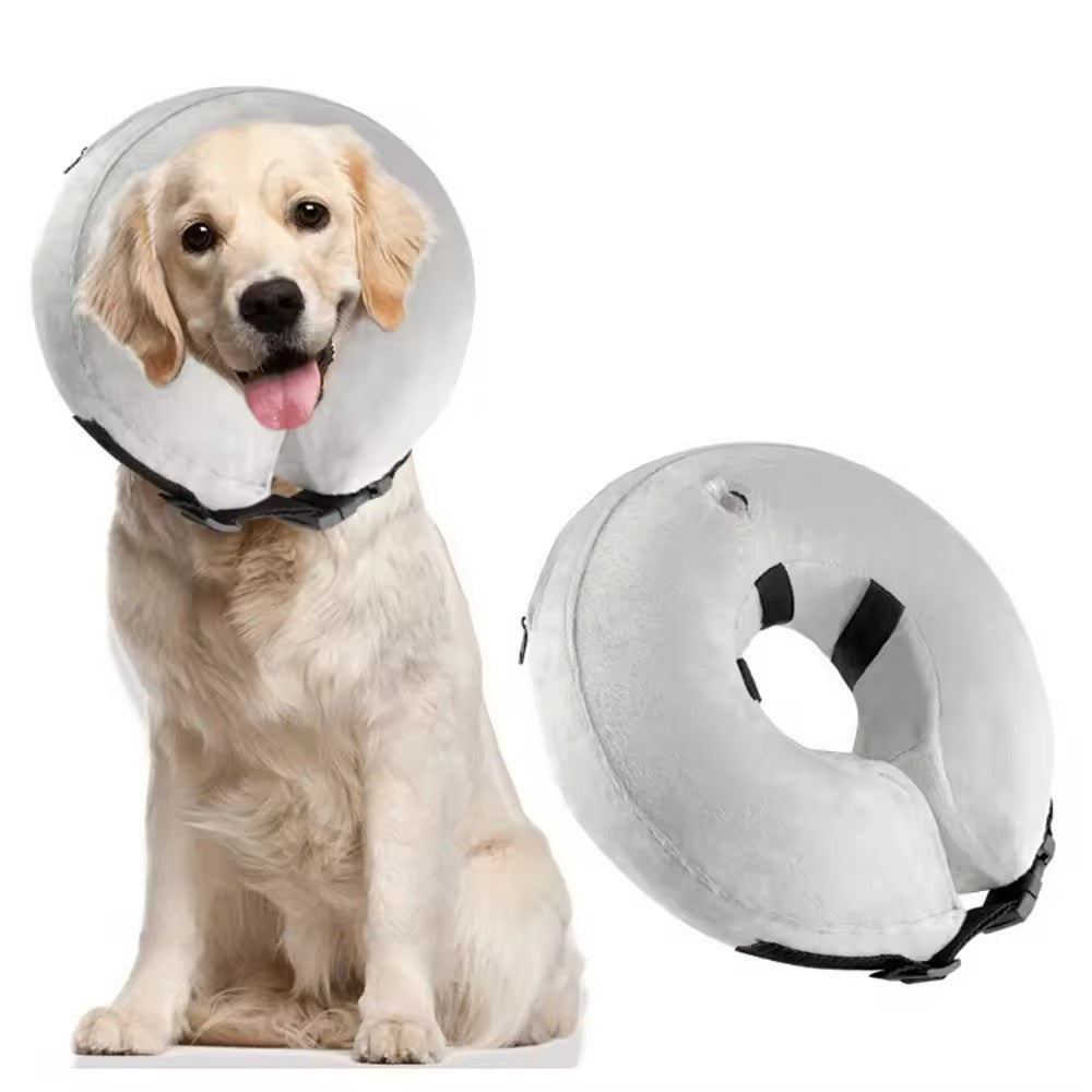 Collerette pour Chien - Protection Post-Opératoire et Anti-Léchage ...