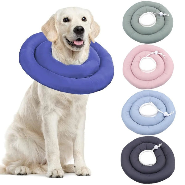 Collerette pour Chien - Protection Post-Opératoire et Anti-Léchage ...