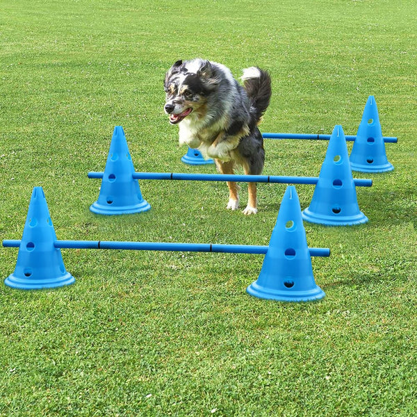 Obstacle agility pour chien - Gros-Chien.com